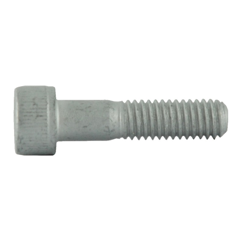 Tornillos y arandelas